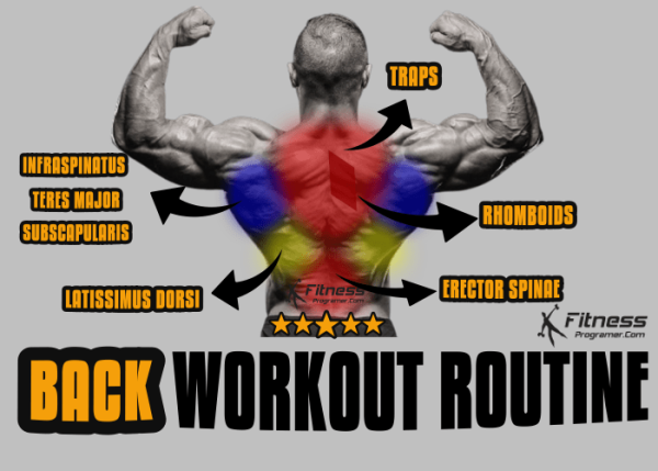 Back Workout For A Bigger Back | Detailed Back Workout