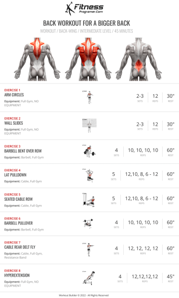 Back Workout For A Bigger Back | Detailed Back Workout