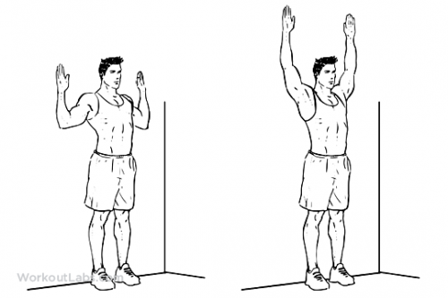 Shoulders » Fitness Program Builder