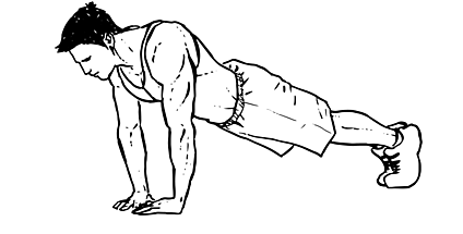 Chest » Fitness Program Builder