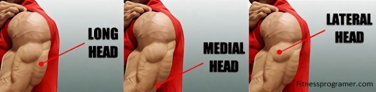 How To Do Bench Dips | Muscles Worked And Benefits