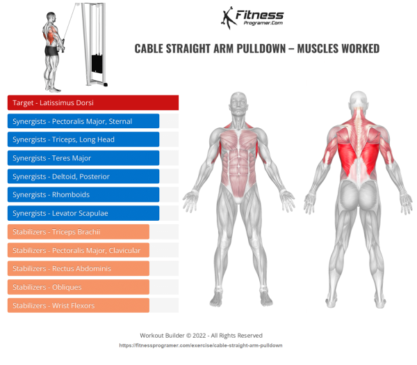 How To Do Cable Straight Arm Pulldown | Muscles Worked