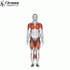 Jumping Jack » Fitness Programer