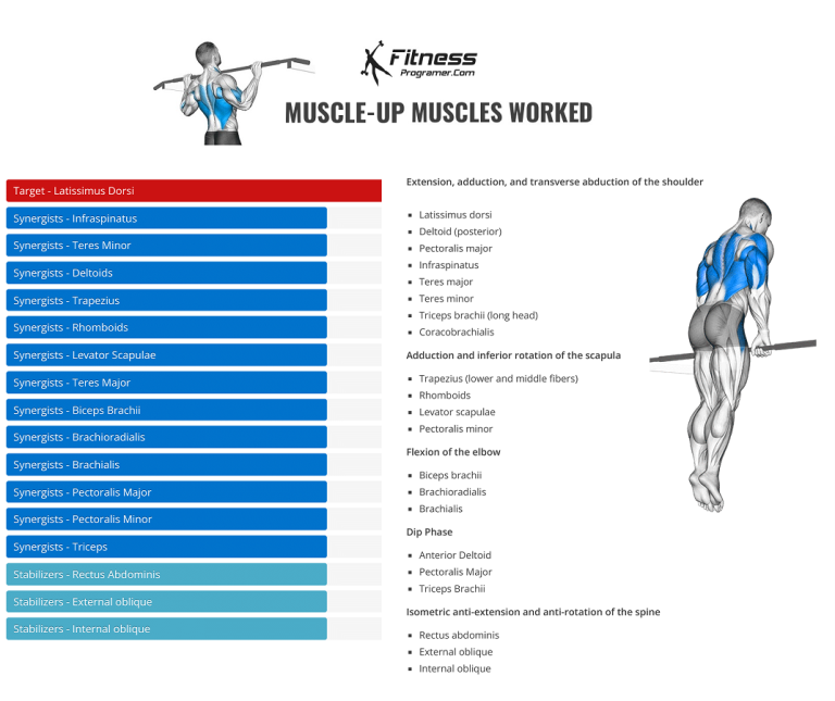 The Ultimate Guide To Muscle-Up: Tips, Techniques, Benefits