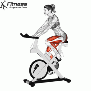 Stationary Bike Workout Guide For Cardio And Strength