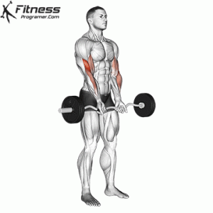 How To: Close Grip Z-Bar Curl| Benefits And Muscles Worked