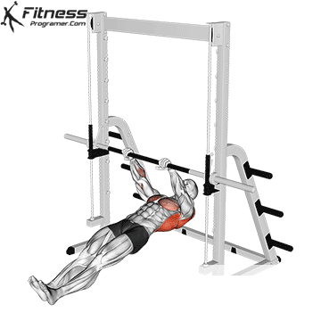 Inverted Row Overview Proper Form Tips And Benefits Inverted Row Overview Proper Form Tips And Benefits