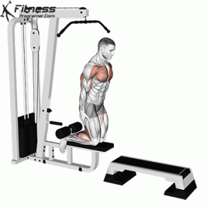 15 Best Hamstring Exercises: A Complete Workout Guide