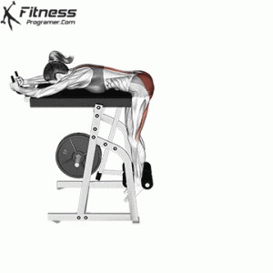 How To: Reverse Hyperextension Machine