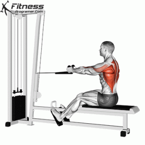 Seated Cable Rope Row » Fitness Programer