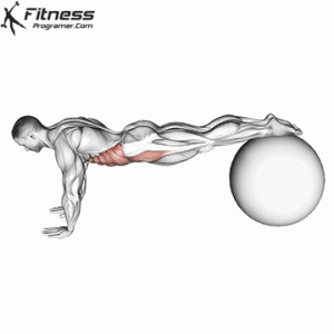 How To Do Stability Ball Knee Tuck - Benefits, Muscles Worked