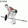 How To Do T-Bar Row | Muscles Worked And Benefits