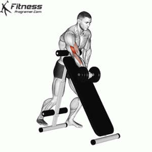 How To Do Dumbbell Scott Curl | Benefits And Muscles Worked