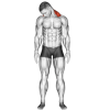 How To Do Diagonal Neck Stretch | Muscles Worked & Benefits