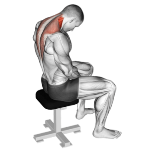 Neck Flexion Stretch » Fitness Programer