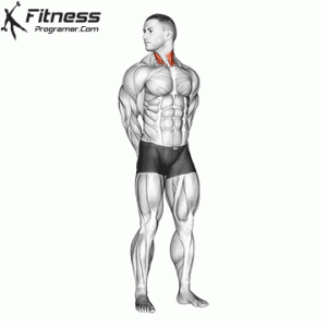 How To Do Neck Rotation Stretch | Muscles Worked & Benefits