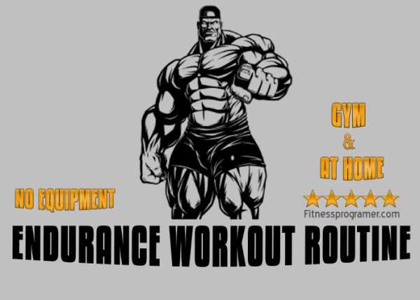 4- Week No Equipment Endurance Workout Plan » Fitness Programer