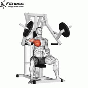 101 Unilateral Exercises For Balanced Muscle Growth