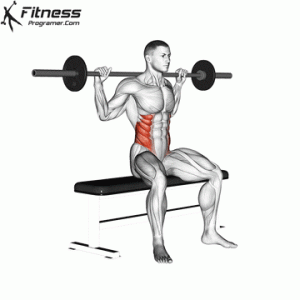 How To Do Seated Barbell Twist | Muscles Worked And Benefits