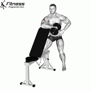 Bench Supported Dumbbell External Rotation » Workout Planner