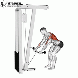 Cable Bent Over Row » Fitness Programer