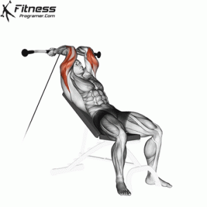 How To Perform Cable Incline Triceps Extension