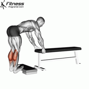 How To Do A Donkey Calf Raise (with Pictures)