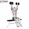Dumbbell Seated Front And Back Tate Press | Form And Tips