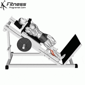 Hack Machine One-Leg Calf Raise » Fitness Programer