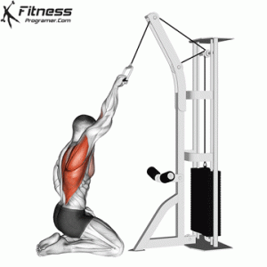 101 Unilateral Exercises For Balanced Muscle Growth