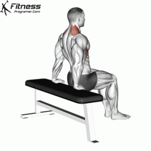 Scapula Dips » Fitness Programer