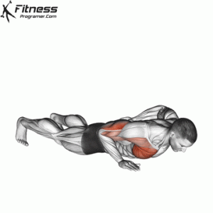 101 Unilateral Exercises For Balanced Muscle Growth
