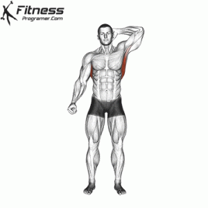 Standing Side Bend Stretch » Fitness Programer