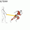 Band Assisted Sprinter Run » Workout Planner