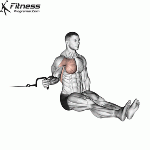 Cable Seated Shoulder Internal Rotation » Workout Planner