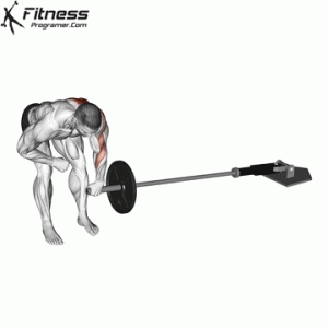 One Arm Landmine Row » Workout Planner