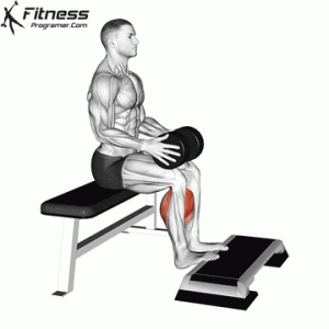Get Perfect Form: Weighted Seated Calf Raise (Picture Guide)