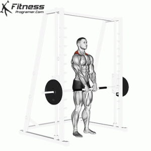 Smith Machine Shrug » Fitness Programer