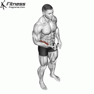 How To Make My Left Hand Strong? This Guide Is For You!