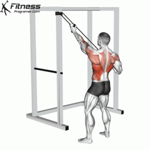 Band Alternating Lat Pulldown » Fitness Programer