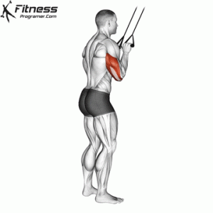 How To Perform The Band Pushdown For Stronger Triceps