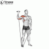 101 Unilateral Exercises For Balanced Muscle Growth
