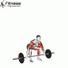 Muscle Snatch » Workout Planner