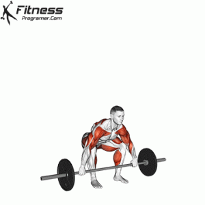 The Ultimate List: 101 Compound Exercises For All Levels