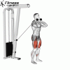 Cable Forward Lunge » Fitness Programer