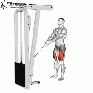 Cable Lunge » Fitness Programer