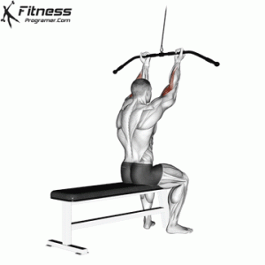 Cable Pulldown Biceps Curl » Workout Planner