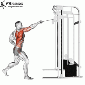 Cable Twisting Standing High Row » Fitness Programer