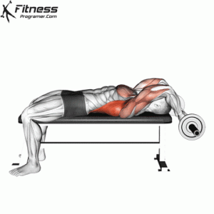 EZ-Bar Bent Arm Pullover Overview | Form, Tips And Benefits