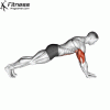 Master The Forearm Push-Up | Form, Tips And Benefits